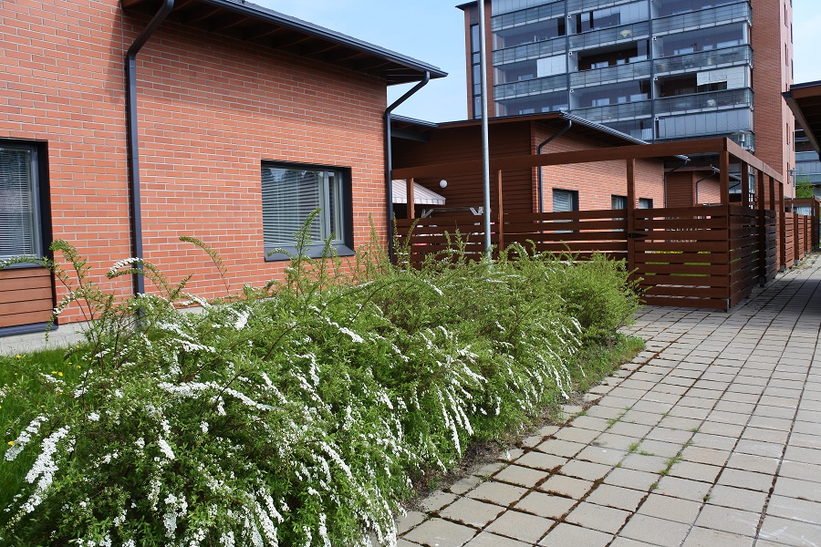 Rinnekodit Willa Lupiini